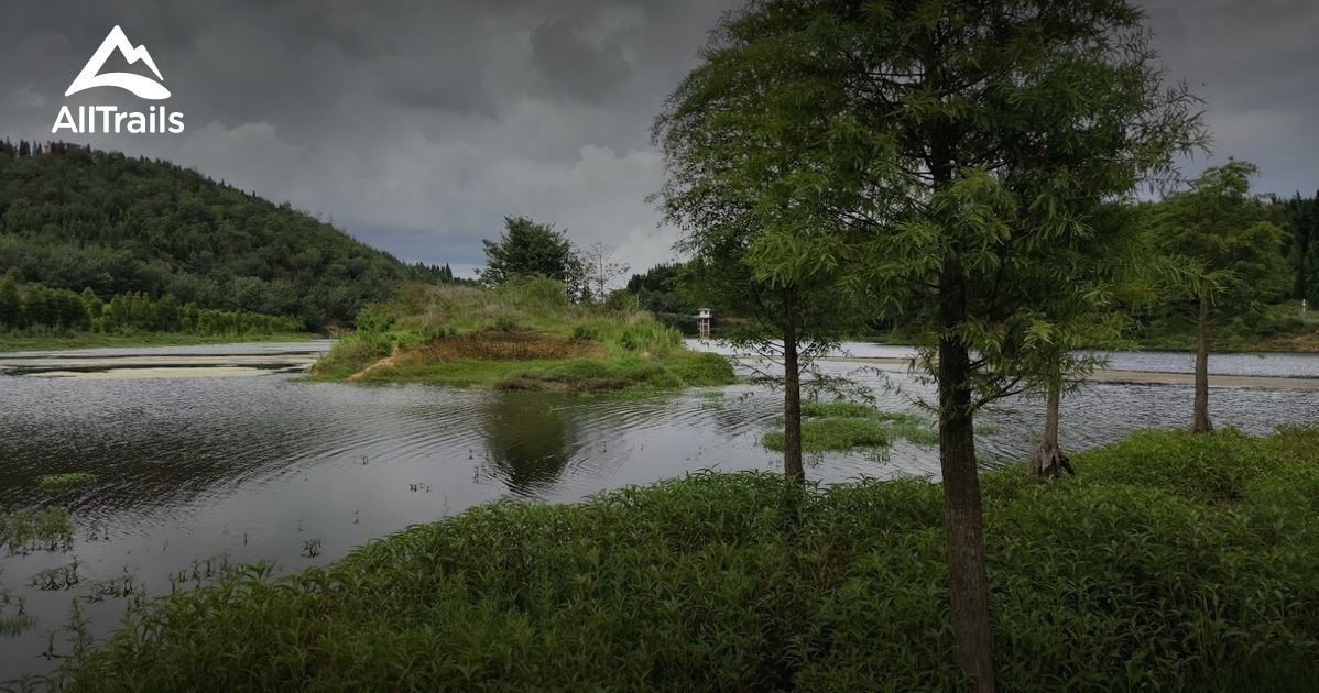 Best hikes and trails in Qipanshan National Forest Park | AllTrails