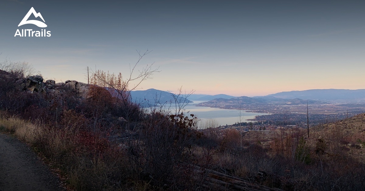 Best hikes and trails in Cedar Mountain Regional Park | AllTrails