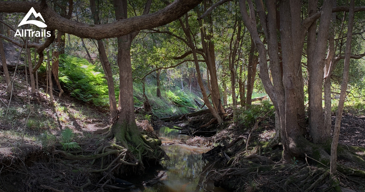 Best hikes and trails in Redlands Track Park | AllTrails