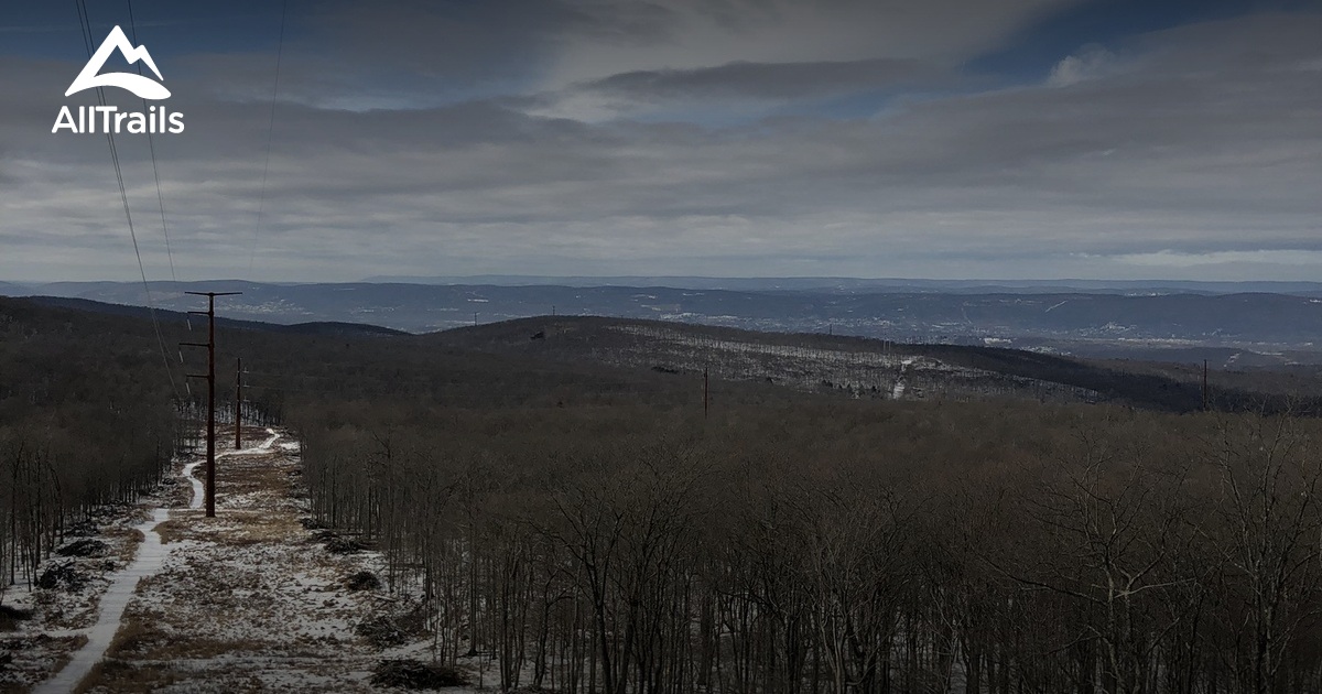 Best hikes and trails in Bald Mountain Preserve | AllTrails