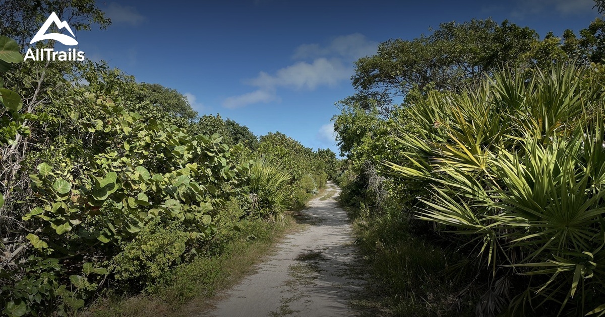 Best hikes and trails in Crandon Park | AllTrails
