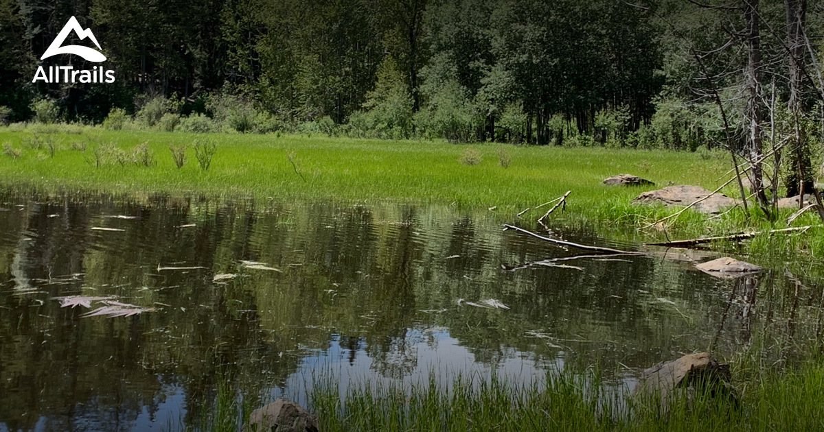 Best hikes and trails in Horse Barn Valley Interpretive Forest | AllTrails