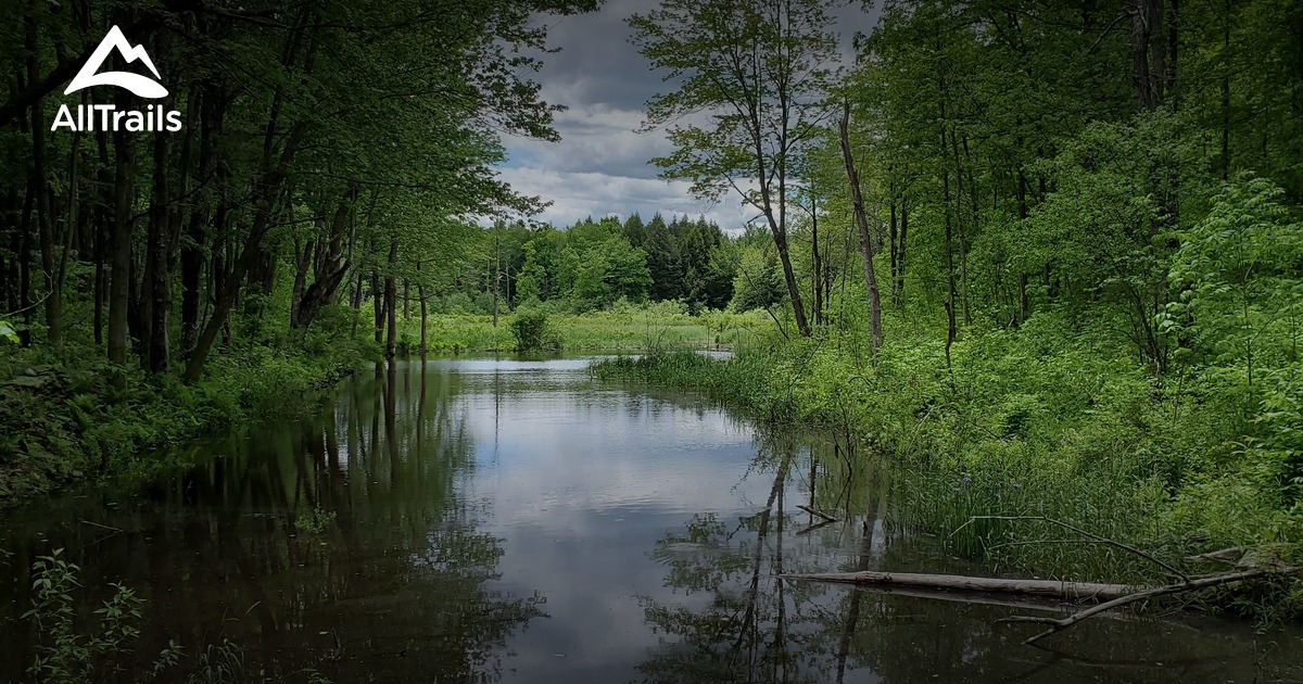 Best hikes and trails in Cole Hill State Forest | AllTrails