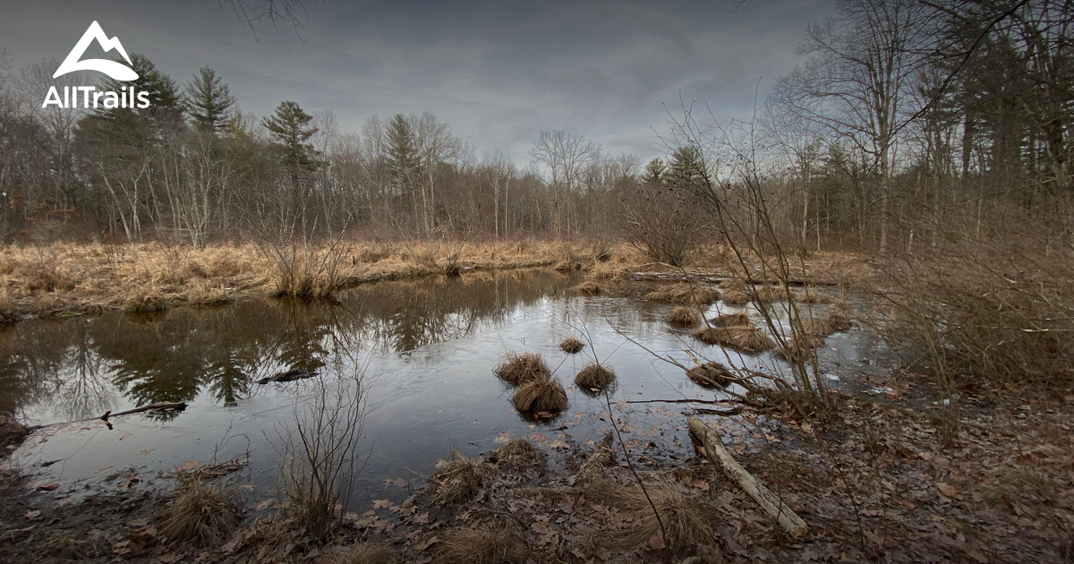 Best hikes and trails in Wapping Park | AllTrails