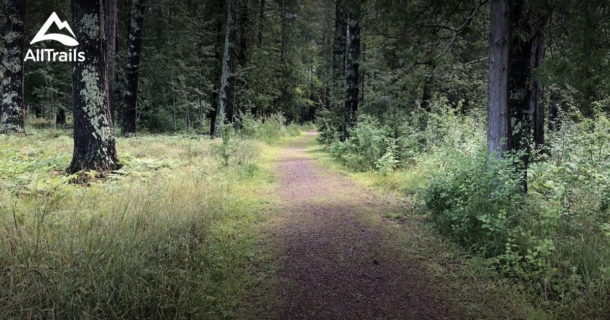 Best hikes and trails in Madeline Island Wilderness Preserve | AllTrails