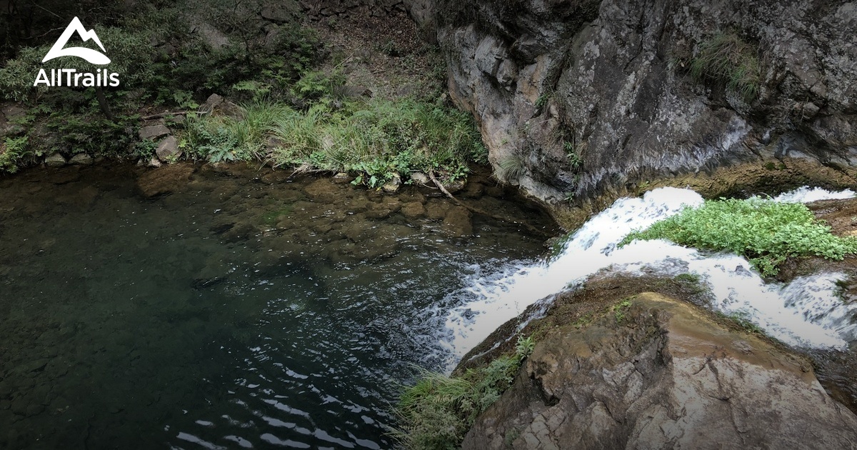 Best hikes and trails in Jenolan Karst Conservation Reserve | AllTrails