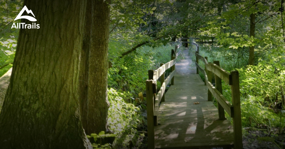 Best hikes and trails in Scotts Mill County Park | AllTrails