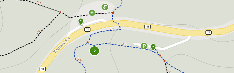 Best Trails in Toohey Forest Park - Queensland, Australia | AllTrails