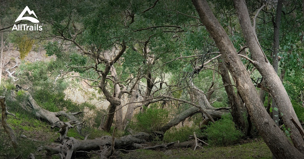 Best hikes and trails in Long Forest Flora and Fauna Reserve | AllTrails