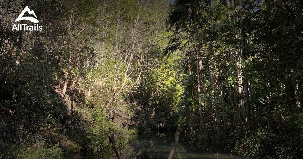 Best hikes and trails in Lower Beechmont Conservation Area | AllTrails