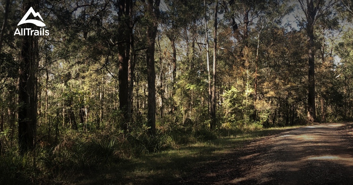 Best hikes and trails in Lake Innes Nature Reserve | AllTrails