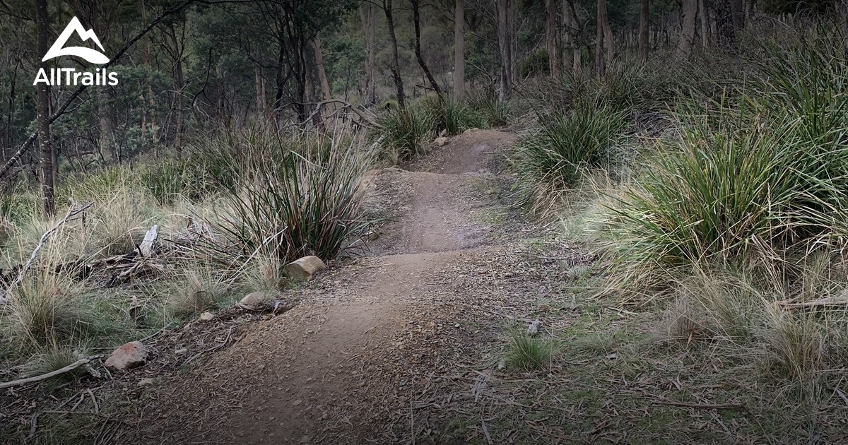 10 Best hikes and trails in Trevallyn Nature Recreation Area | AllTrails