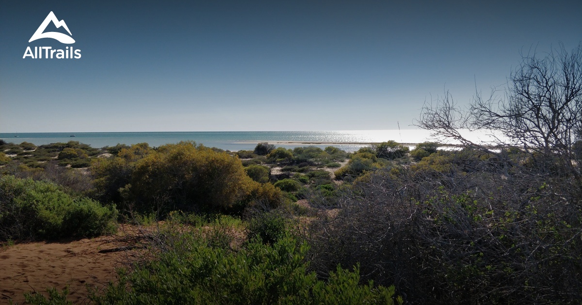 Best hikes and trails in Monkey Mia Reserve | AllTrails