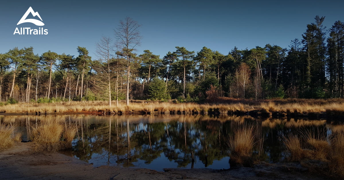 10 Best hikes and trails in Geeneindsche Heide | AllTrails