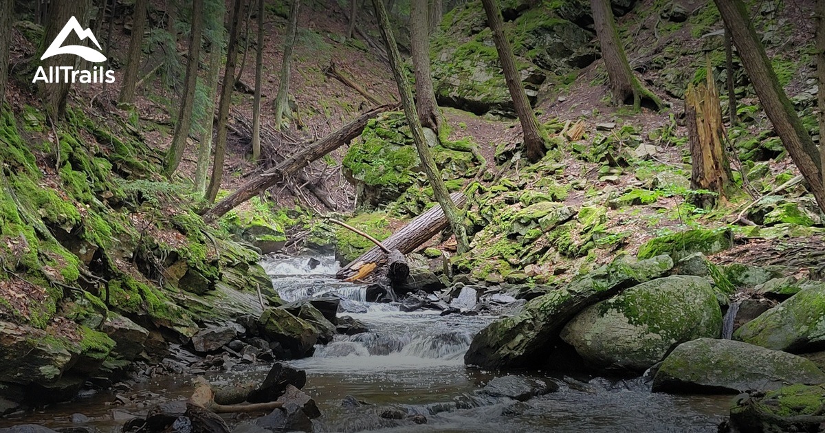 Best hikes and trails in Chesterfield Gorge Natural Area/Chesterfield ...