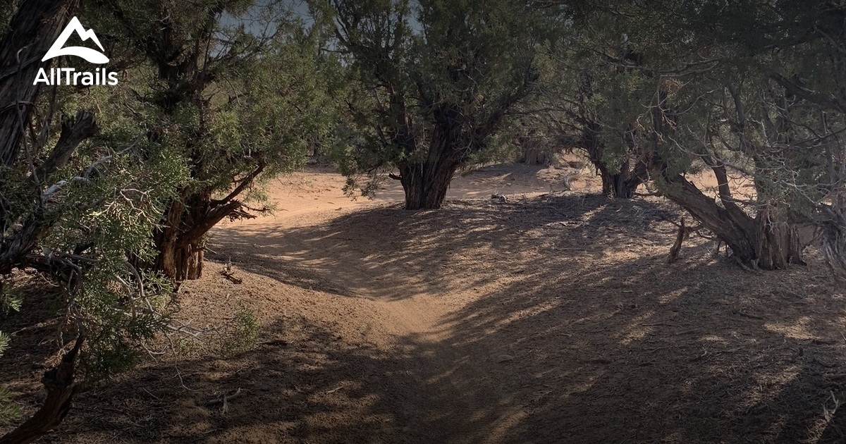 Best hikes and trails in Alien Run Recreation Area | AllTrails