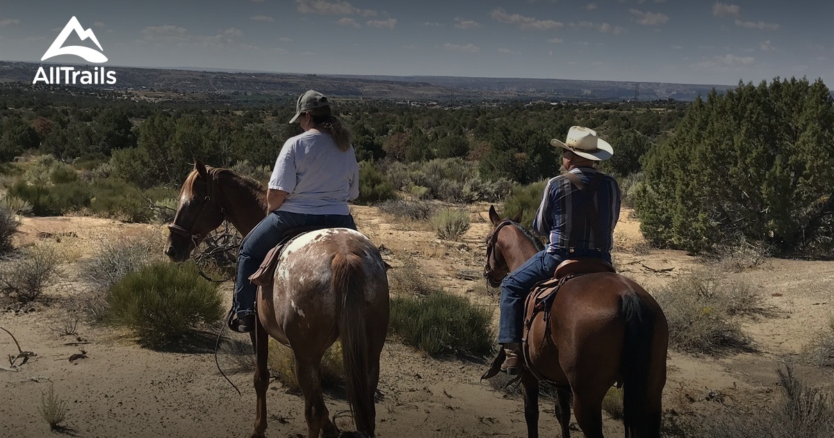 Best hikes and trails in Lake Farmington Recreation Area | AllTrails