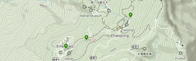 Best Hikes and Trails in Alishan National Forest Recreation Area ...
