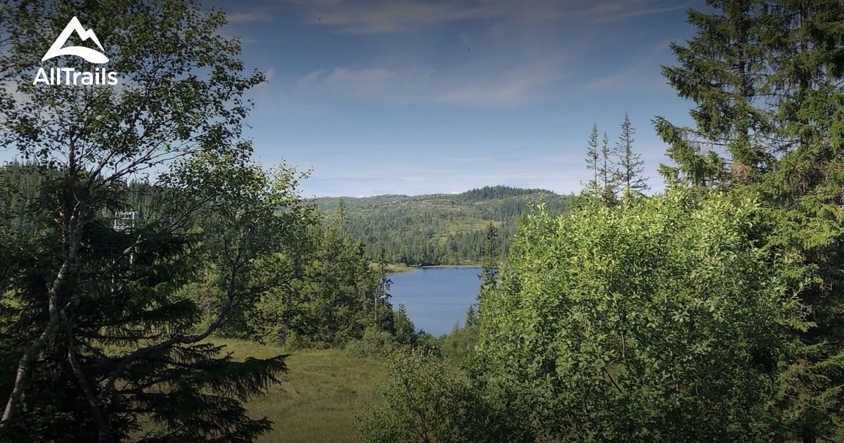 10 Best hikes and trails in Bymarka Nature Reserve | AllTrails