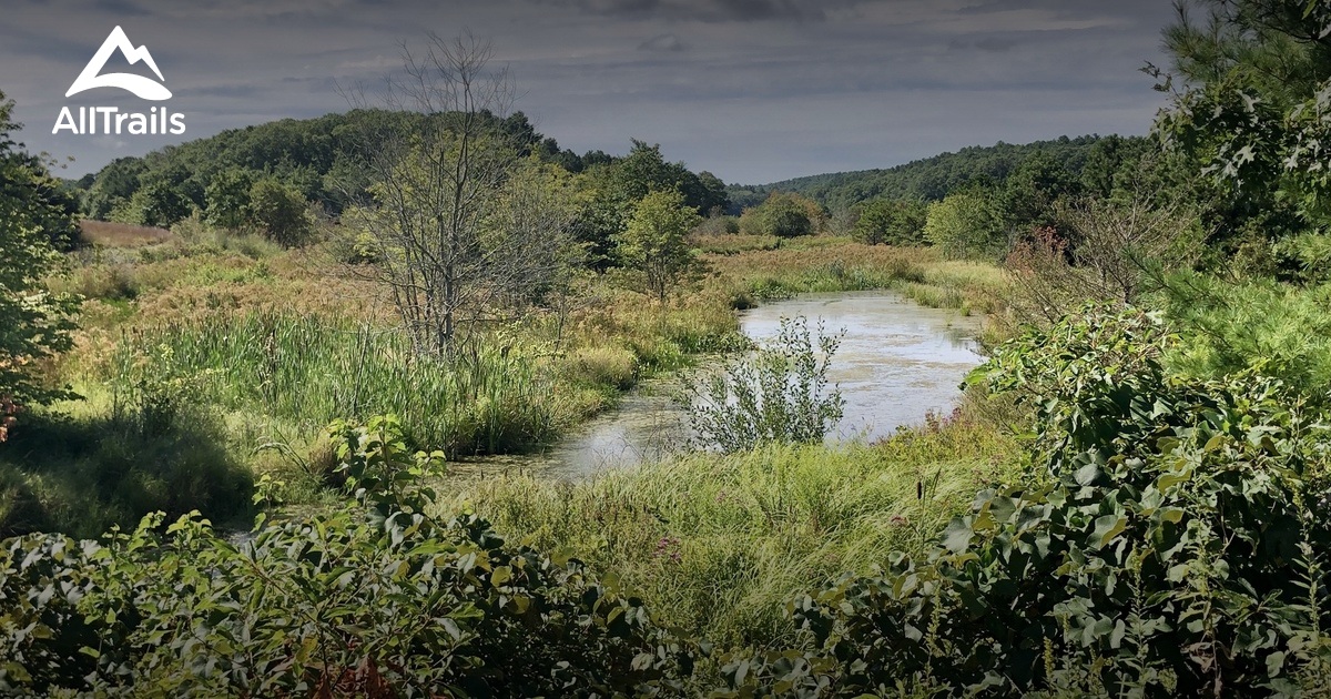 Best hikes and trails in Tidmarsh Wildlife Sanctuary | AllTrails