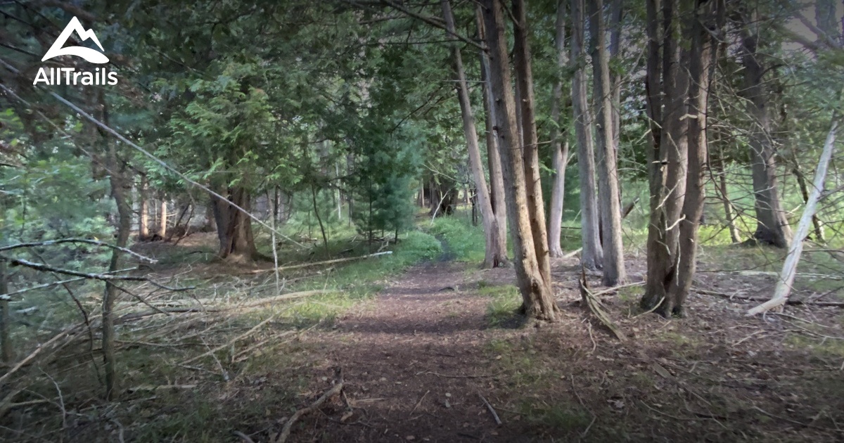 Best hikes and trails in George and Ada Reffitt Nature Preserve | AllTrails