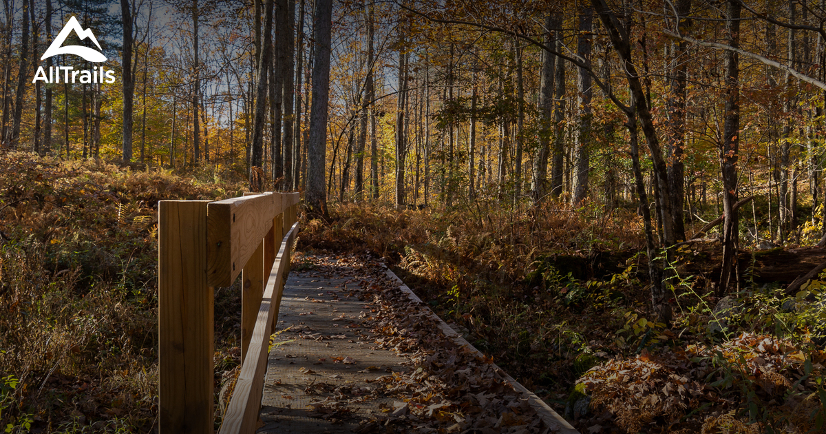 Best dog-friendly trails in Simpson-Wood Preserve | AllTrails