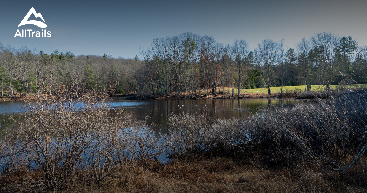 Best hikes and trails in Mount Hope Park | AllTrails