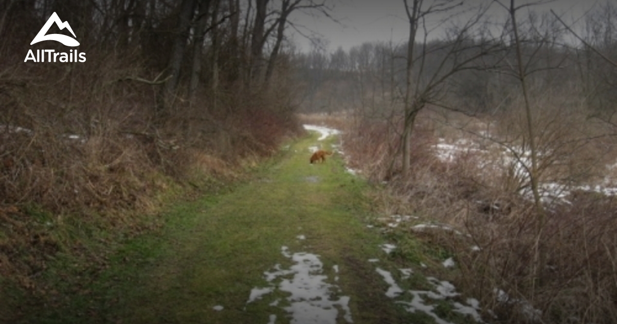 Best lake trails in Wolf Run Regional Park | AllTrails