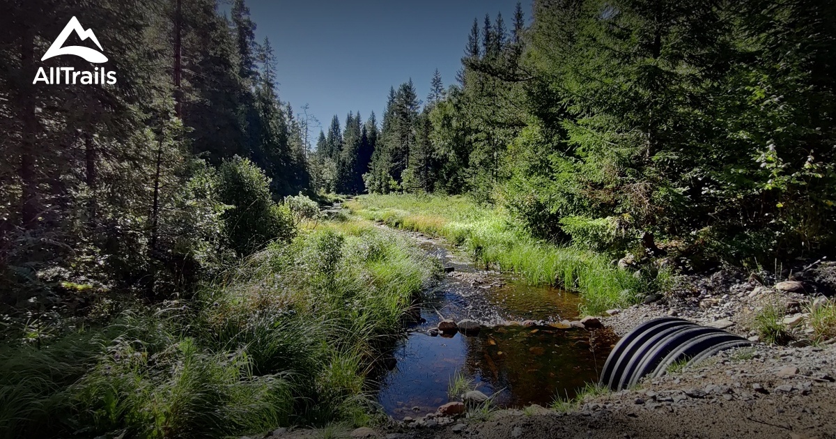 Best long trails in Ånnaboda Nature Reserve | AllTrails