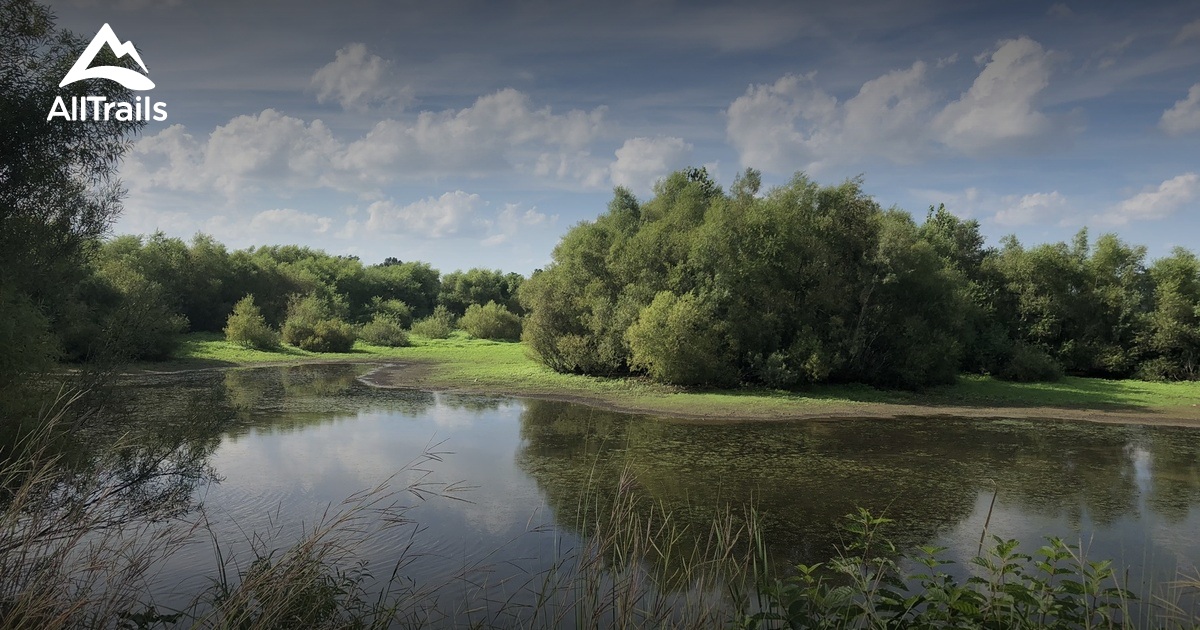 Best hikes and trails in John A. Wannemacher Nature Reserve | AllTrails