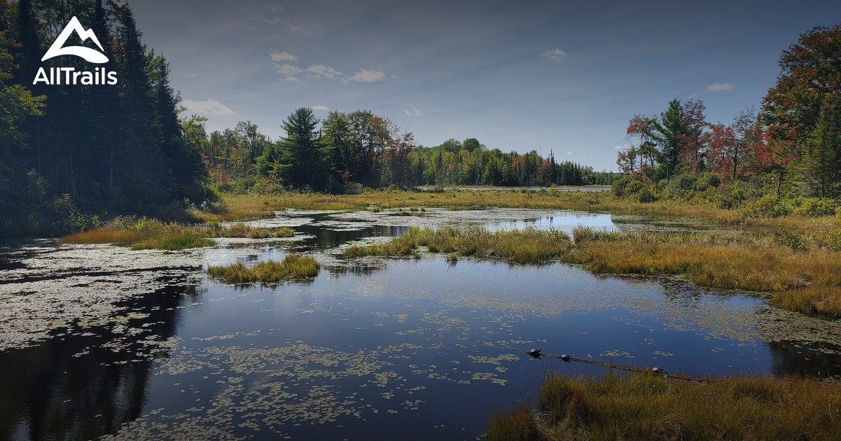 Best hikes and trails in Snowdon Park | AllTrails