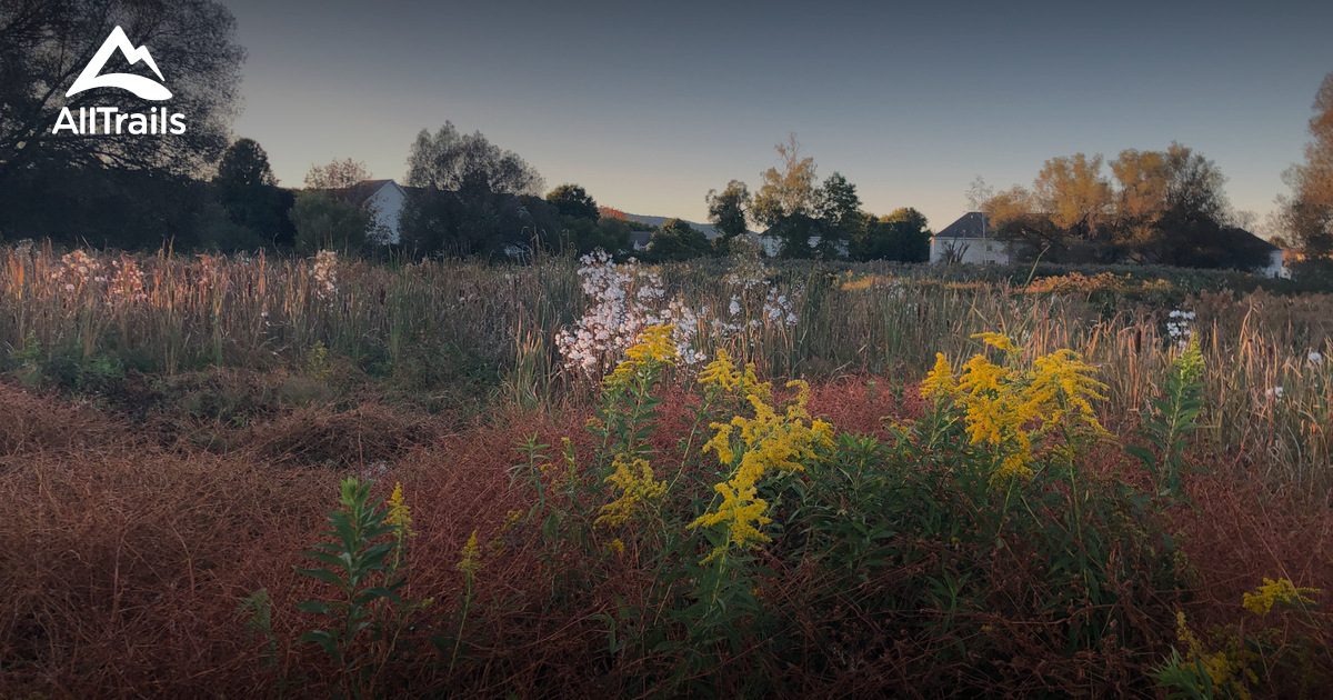 Best hikes and trails in Meadowbrook Preserve | AllTrails