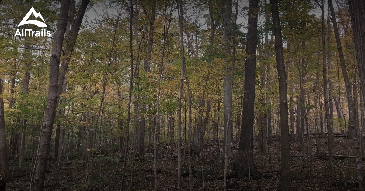 Best hikes and trails in Bellaire Woods Nature Preserve | AllTrails
