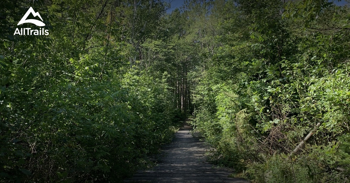 Best hikes and trails in Thunder Bay River State Forest | AllTrails