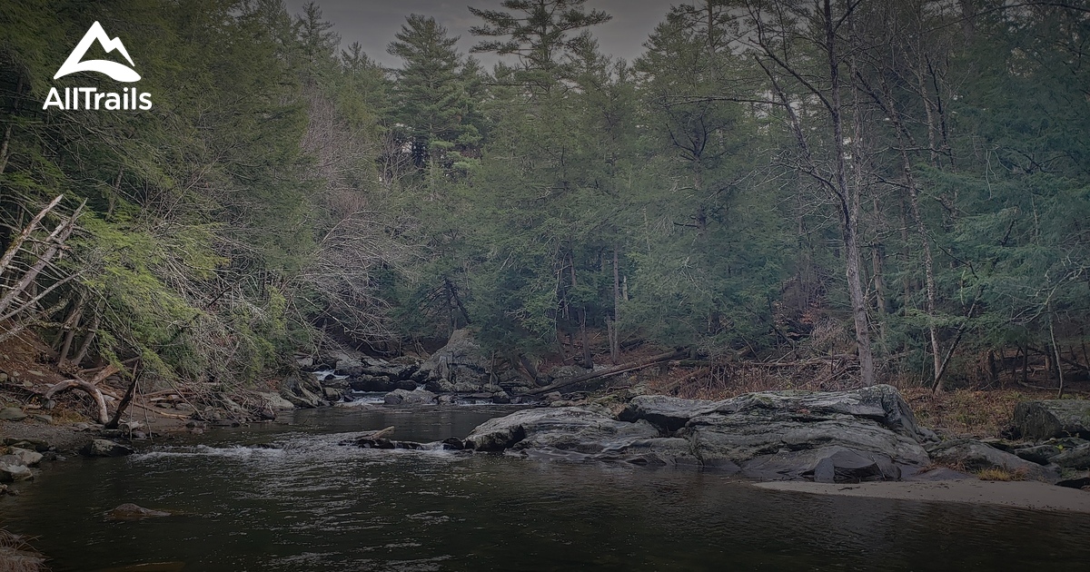 Best hikes and trails in Old Mill Park | AllTrails