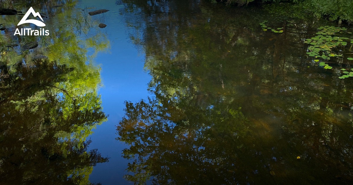 Best hikes and trails in Meisel Woods Conservation Area | AllTrails