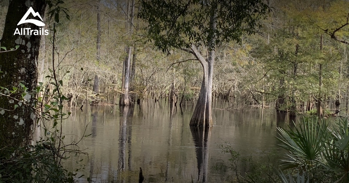Best hikes and trails in Withlacoochee River Park | AllTrails