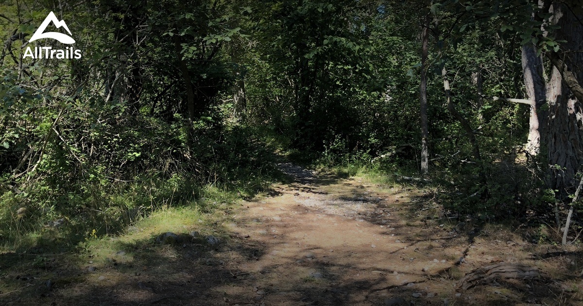 Best bird watching trails in Trollskogen Nature Reserve | AllTrails