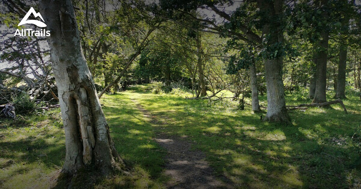 Best hikes and trails in Ottenby Nature Reserve | AllTrails