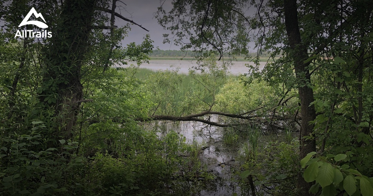 Best hikes and trails in Mud Lake Conservation Area | AllTrails