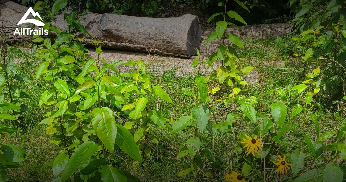 Best short trails in Stanley Park Conservation Area | AllTrails