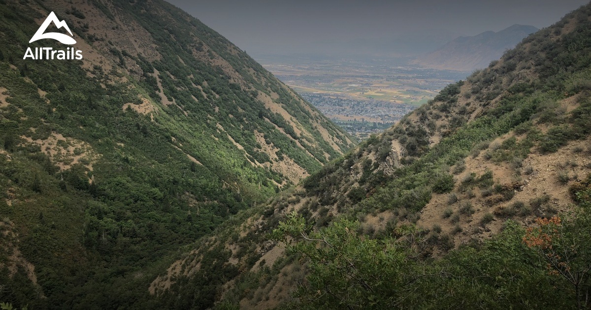 Bedste nemme ruter i Loafer Mountain Wildlife Management Area | AllTrails