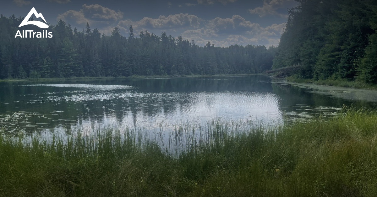 Best hikes and trails in Ivanhoe Lake Provincial Park | AllTrails
