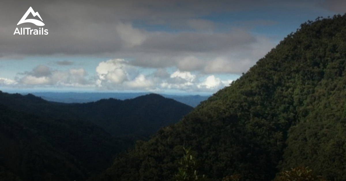 Parc national de Manu : les meilleures randonnées et itinéraires à ...
