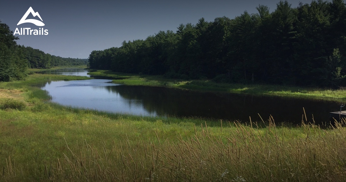 Best walking trails in Dorflinger-Suydam Wildlife Sanctuary | AllTrails