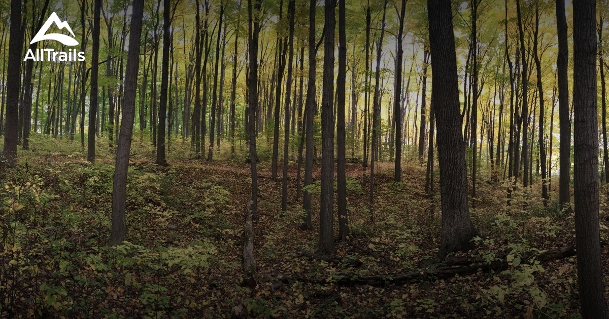 Best hikes and trails in Shade's Mills Conservation Area | AllTrails