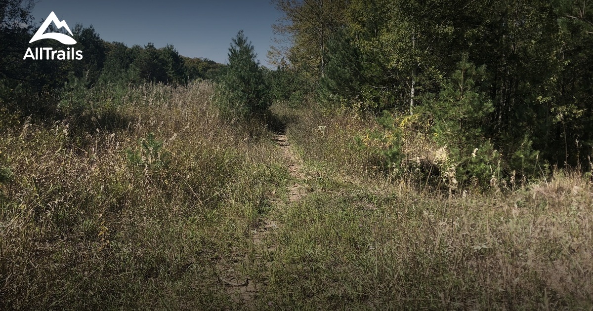 Die Besten Routen mit Botanischen Highlights in Durham East Cross ...