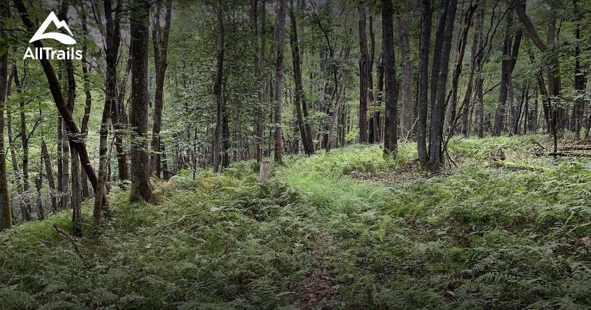 Best easy trails in Meshach Browning Trail System | AllTrails