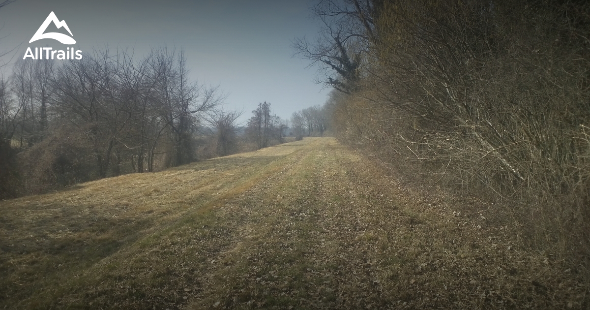 Best hikes and trails in Bosco Bando e Coda di Manin | AllTrails
