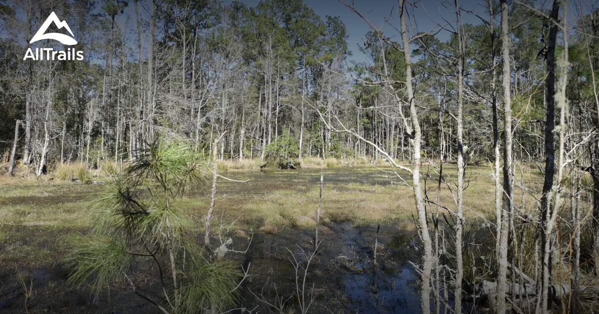 Best hikes and trails in Gum Root Park | AllTrails